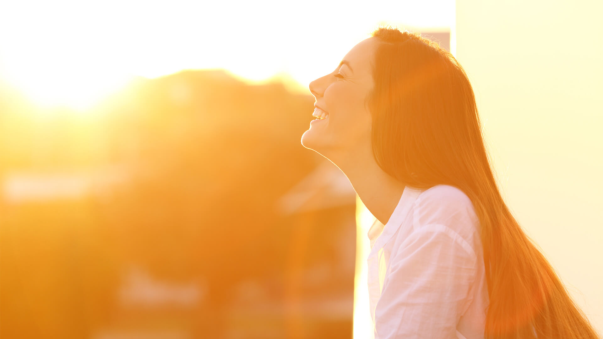 You are Made of Sunlight – Calley Means